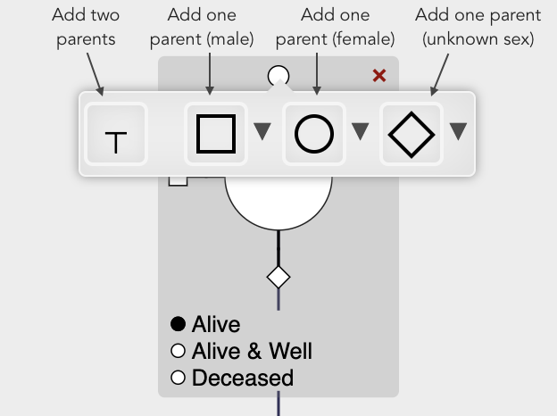 Pedigree Update: Single Parent Pedigree Charts - PhenoTips